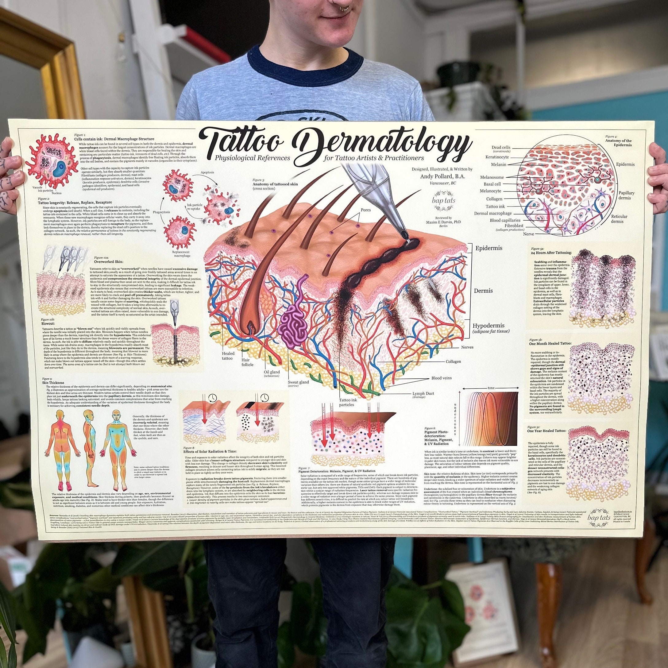Tattoo Dermatology: Physiological References for Artists and ...