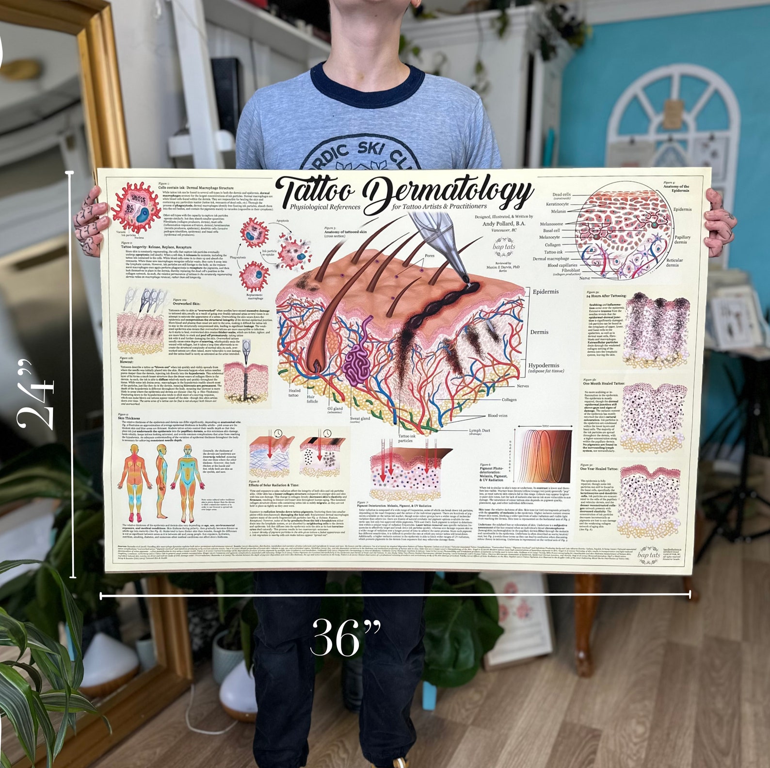Tattoo Dermatology: Physiological References for Artists and ...