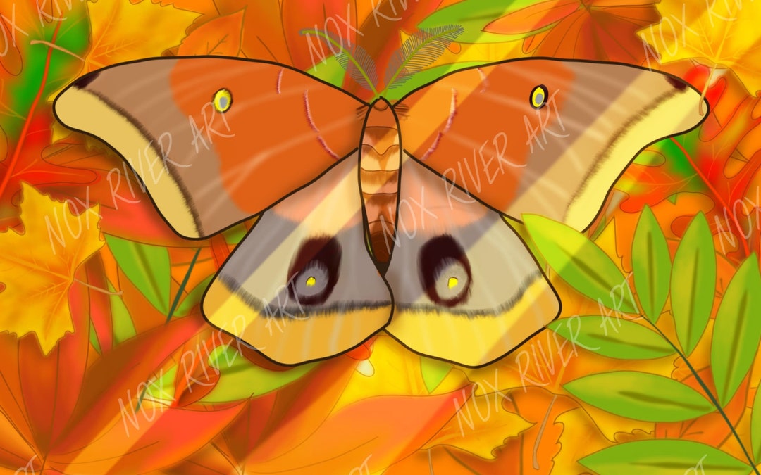 Polyphemus Moth - Etsy