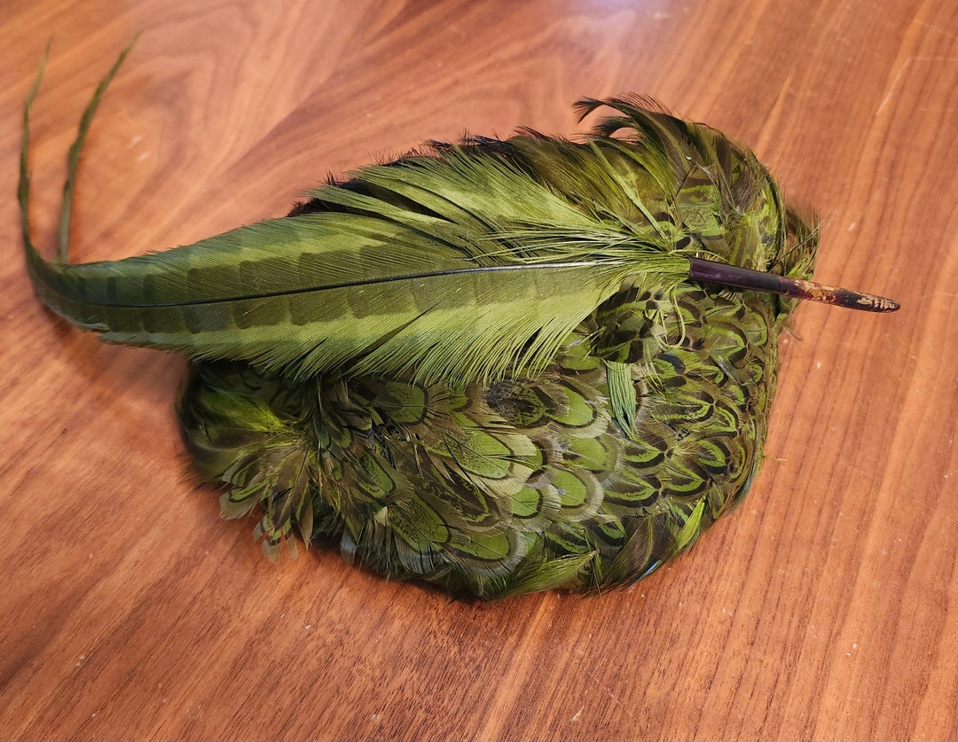 Feather Hat Feather Headband Headpiece Hat Ladies Peacock Unique Hat ...