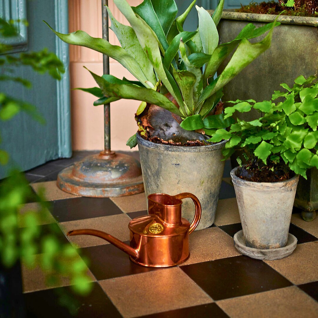 Haws Traditional English Indoor Mini Watering Can 0.5 Liter - Etsy
