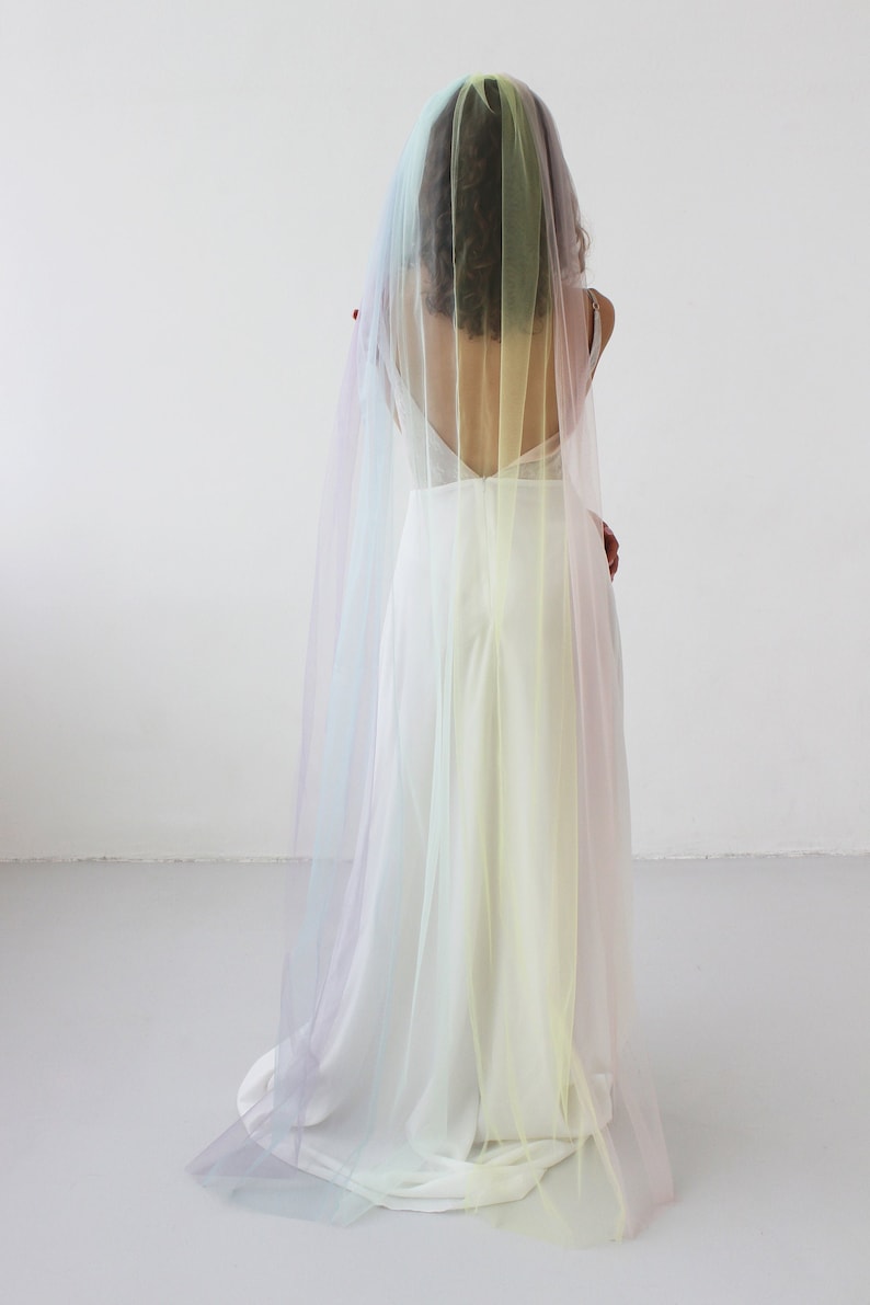 Pastel Rainbow Veil - Etsy