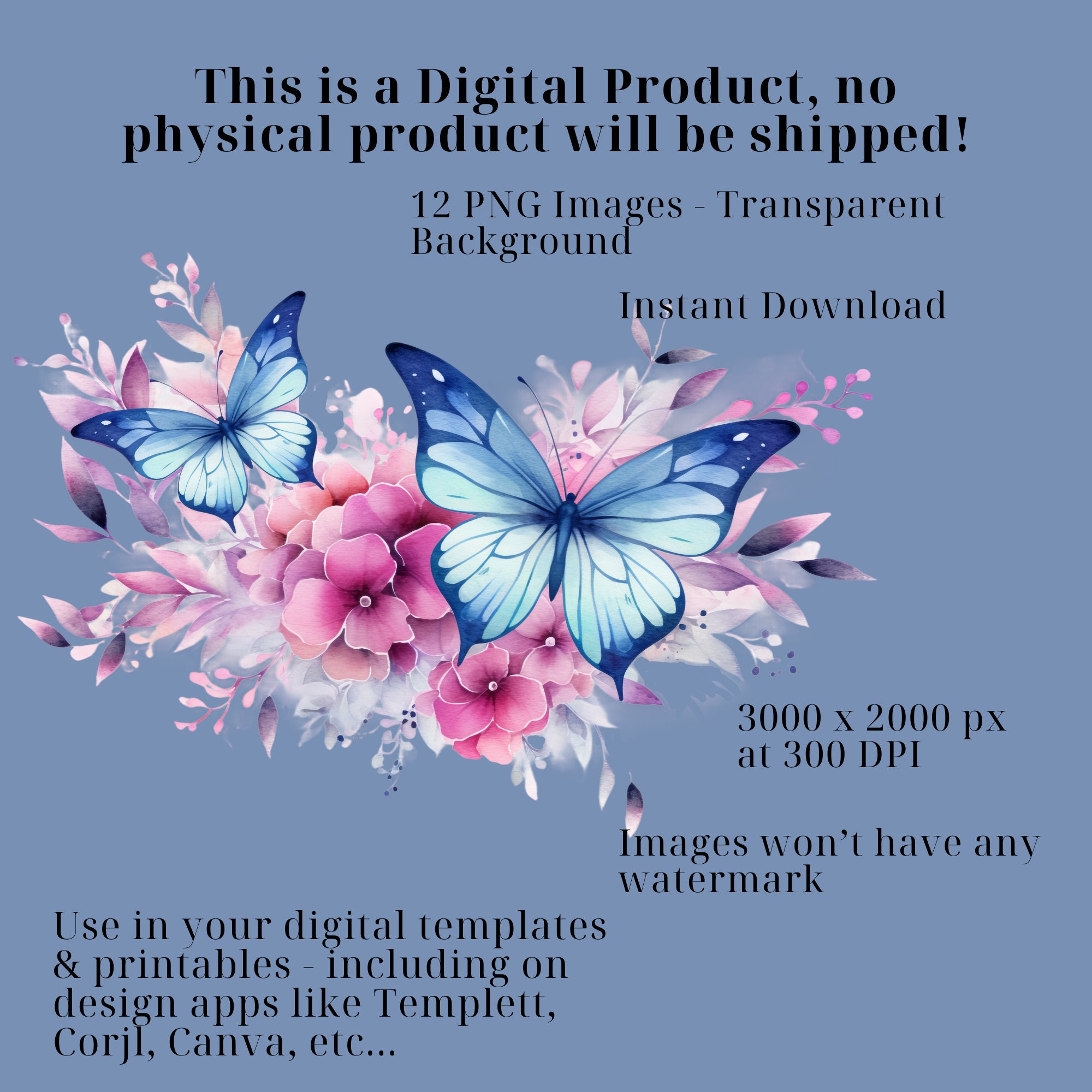 Vibrant Butterfly Clipart Collection: Digital Download, Scrapbooking ...