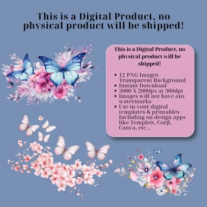 Vibrant Butterfly Clipart Collection: Digital Download, Scrapbooking ...