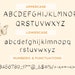 Neat Handwritten Font, Handwriting Font, Neat Handwriting, Simple ...