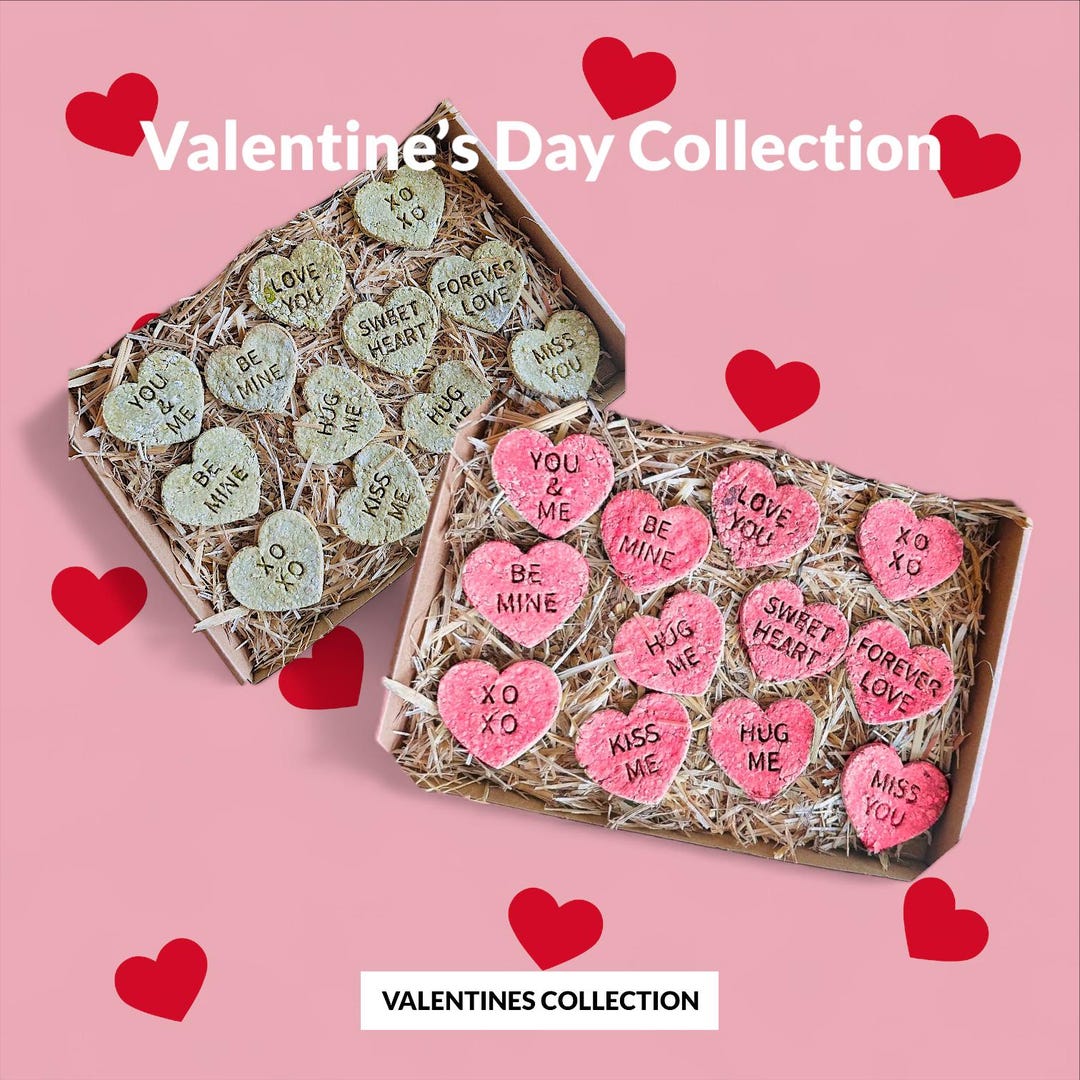 Organic Sweetheart Letter Treat Box Gift for Pets - Etsy