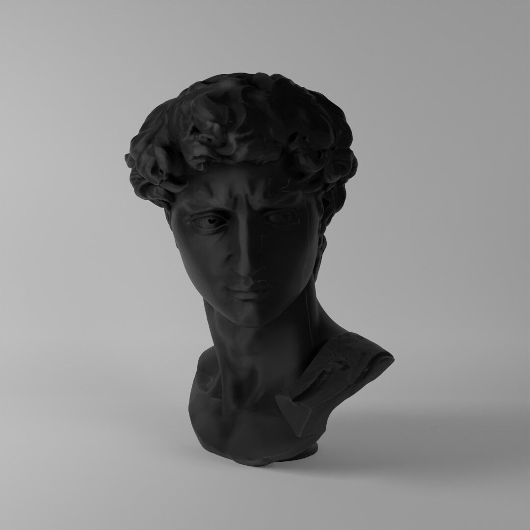 Bust of David Michelangelo| Big Size Desk Gadget Handmade| History ...