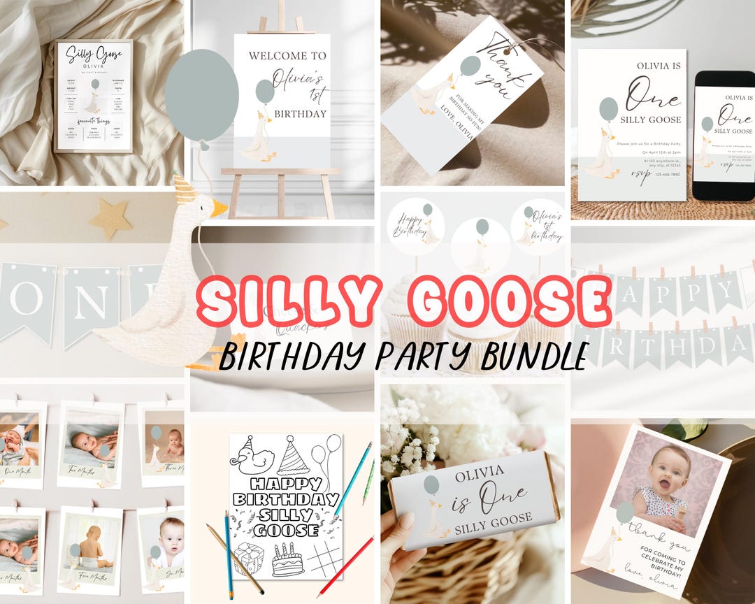 Silly Goose Birthday Party Bundle: Editable Goose Decor (digital) - Etsy