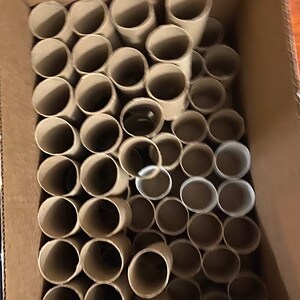 20 Toilet Paper Rolls Empty for Crafts. Free Shipping - Etsy