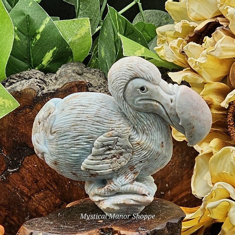 Hand-carved Amazon Stone Dodo Bird Sculpture: Whimsical OOAK Decor - Etsy