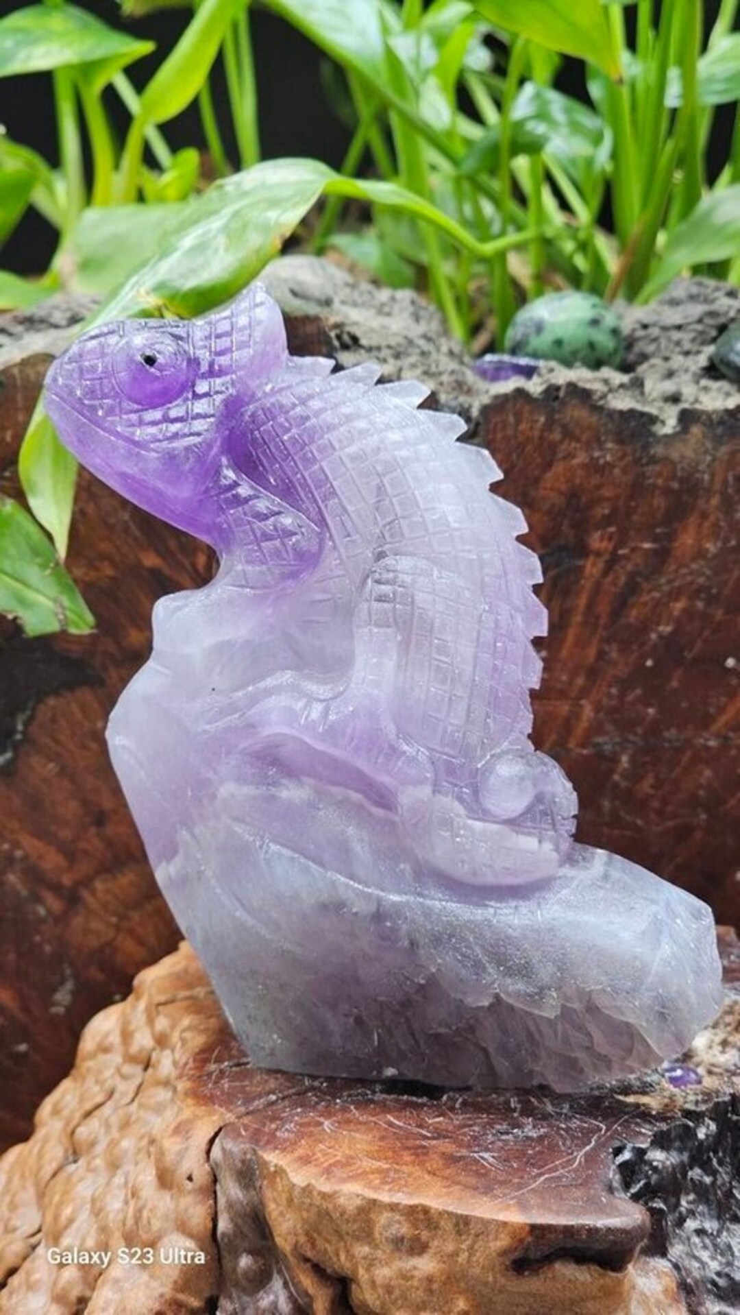 Amethyst Quartz Crystal Cluster Chameleon Hand Carved Specimen Mineral ...