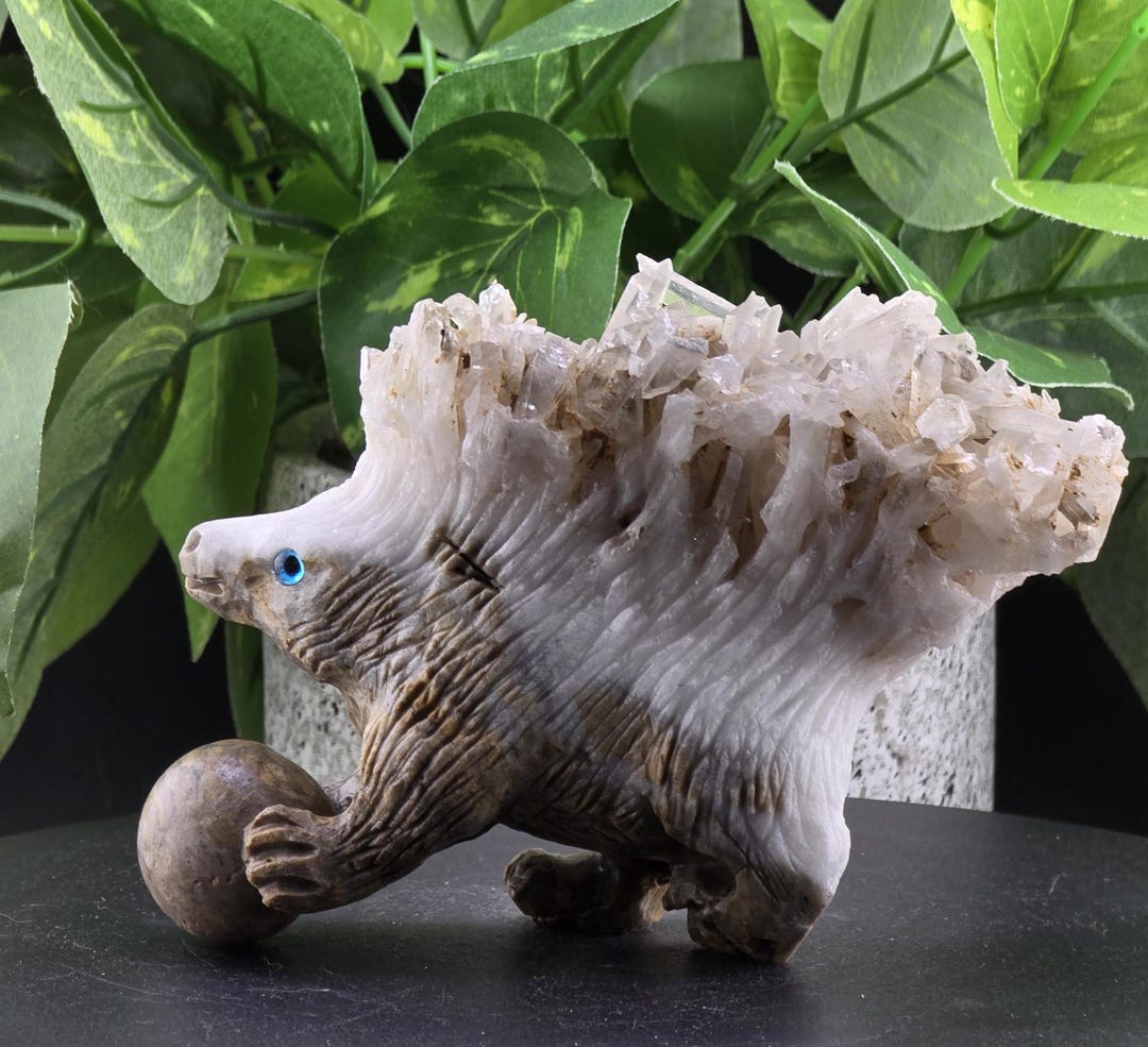 Hand-carved Hedgehog Sculpture on Mushroom Cap | Polished Brown Bedrock ...