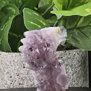 Amethyst Dragon Statue: Hand-carved Natural Crystal Quartz - Etsy