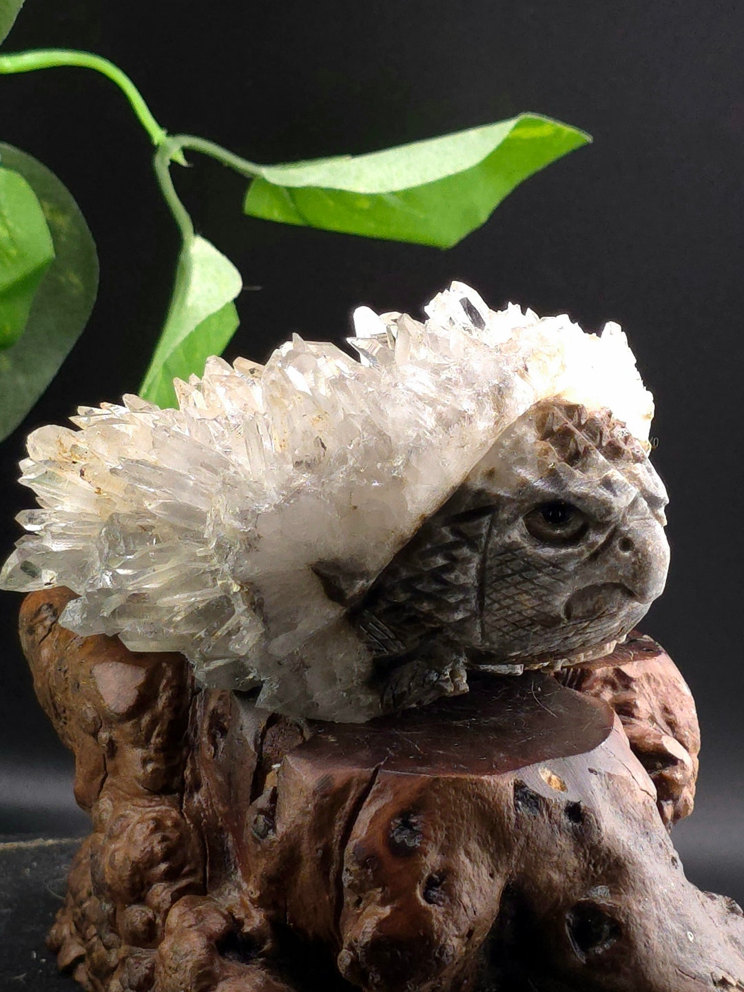Grumpy Snapping Turtle Crystal Cluster Mineral Specimen, Hand Carved ...
