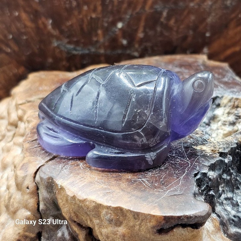 Purple Turtle - Etsy