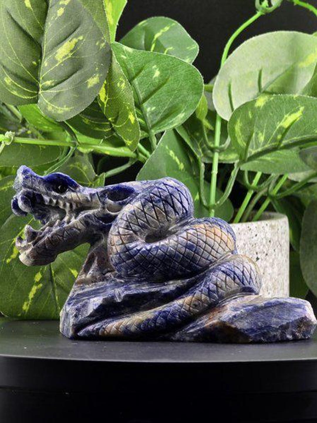 Rare Stunning Handcrafted Teng-she Snake Dragon One of a Kind. Natural ...