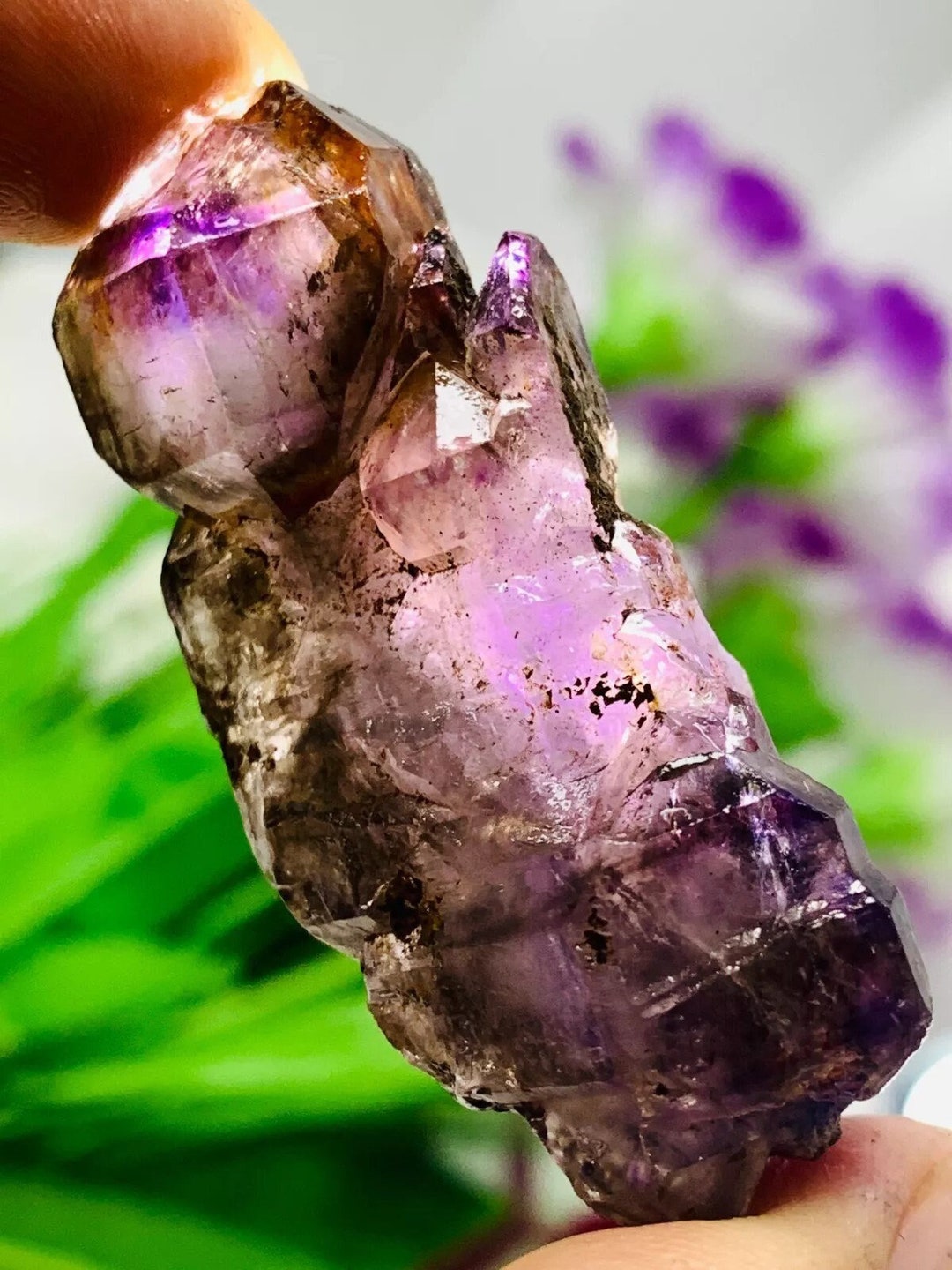 Diamond Grade Super Seven Skeletal Amethyst Quartz Crystal Specimen ...