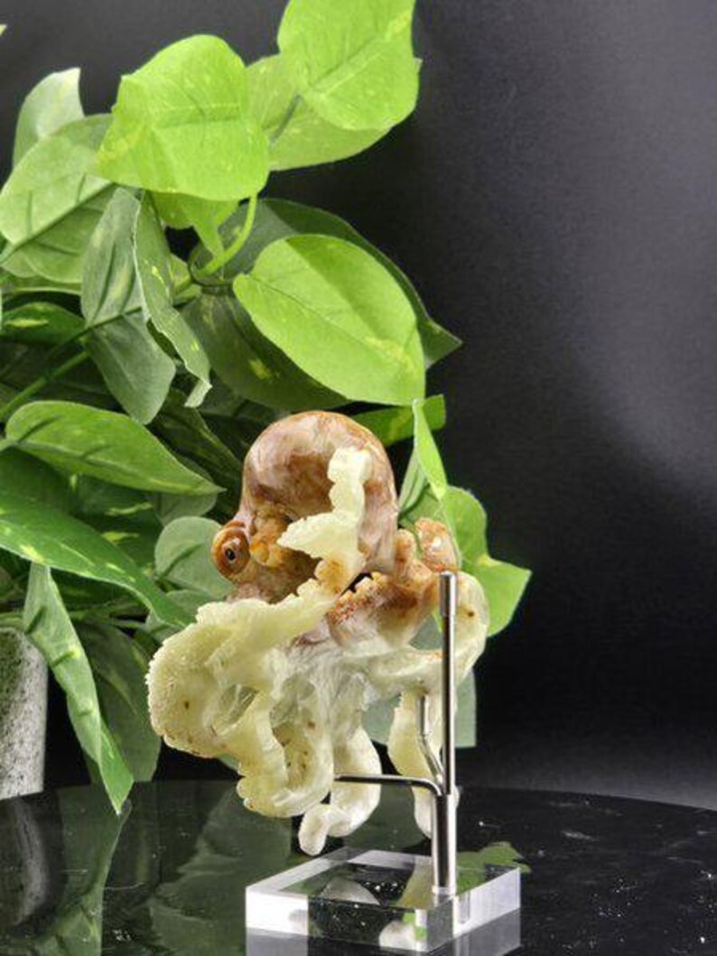 Hand-carved Amazon Stone Octopus Sculpture: Crystal Quartz Statue - Etsy