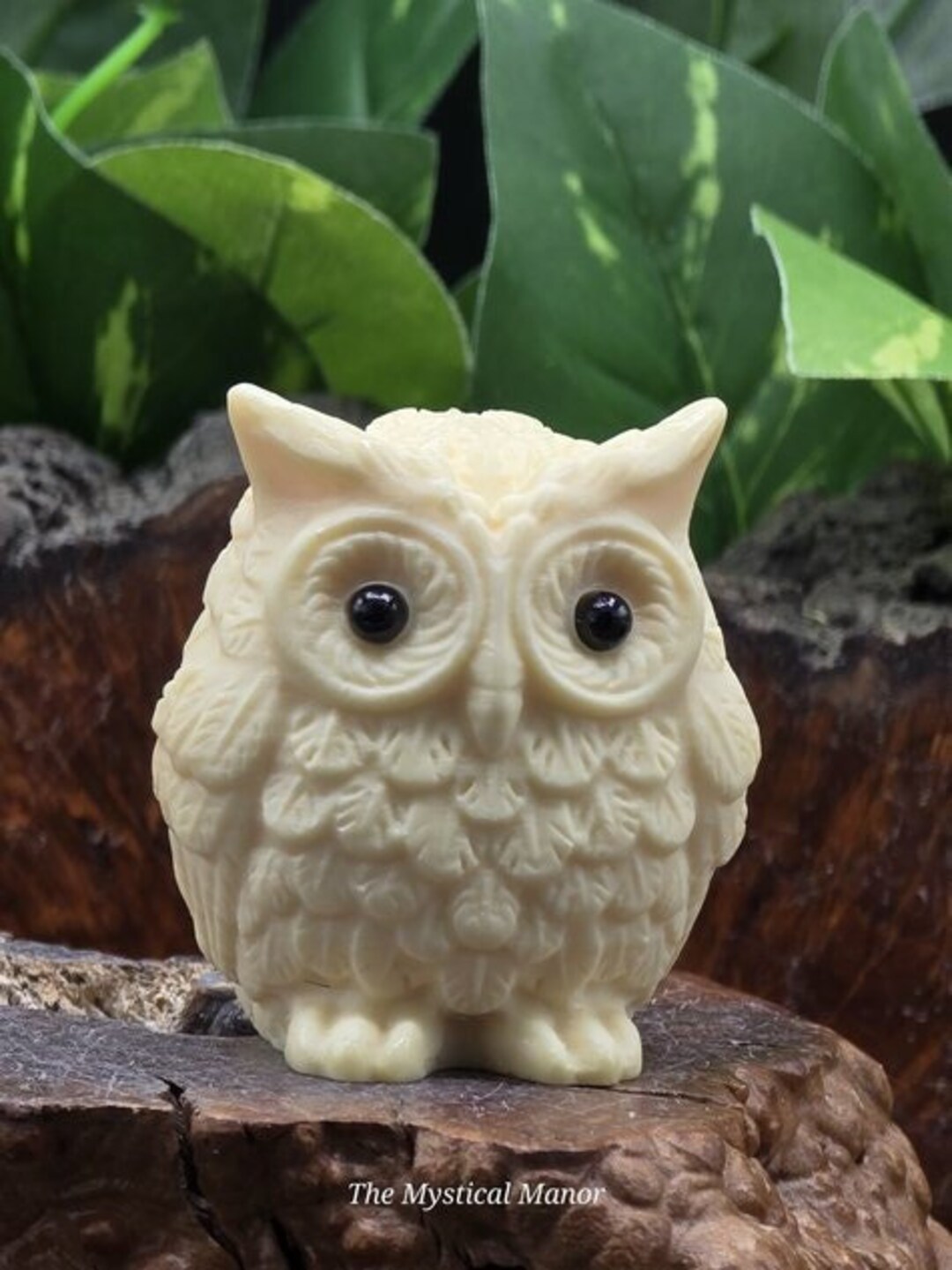 Natural Genuine Tagua Nut Hand Carved Owl Skull Reiki Healing Sculpture ...