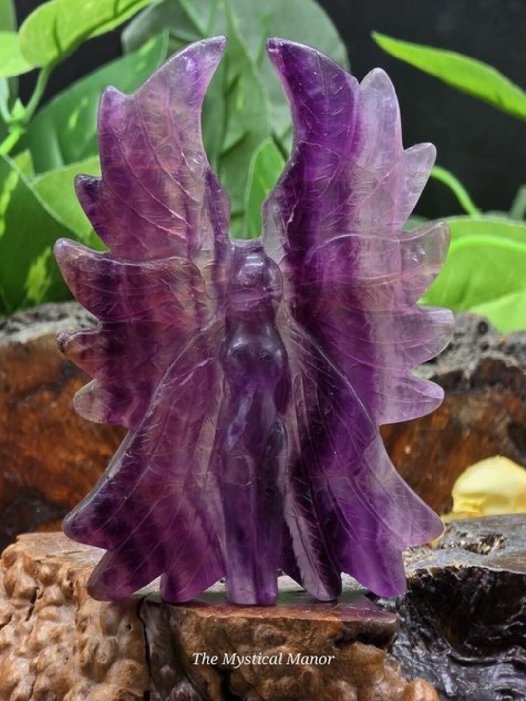 Gorgeous Angel Natural Purple Fluorite Quartz Crystal Cluster Mineral ...