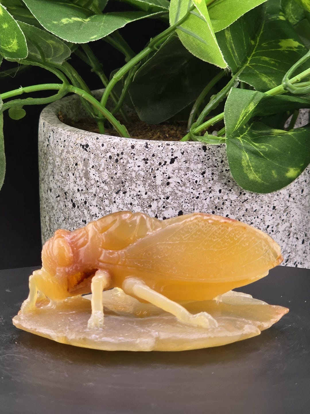 Hand Carved Agate Cicada Sculpture: 3D Insect Stone Art - Etsy