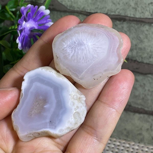 Brazilian Agate Geode - Etsy