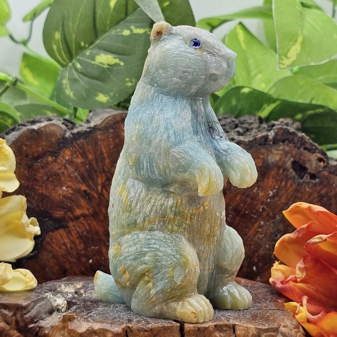 Hand-carved Amazon Stone Beaver: Whimsical Crystal Sculpture - Etsy