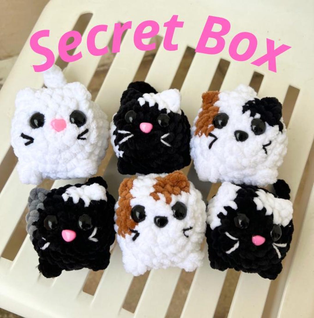 Secret Kitty Box Amigurumi Crochet Mystery Box Cats Plush - Etsy