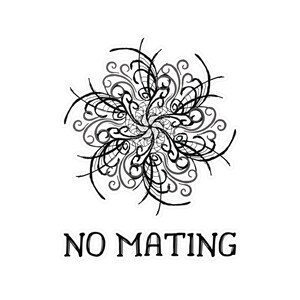 Stormlight Archive Vinyl Sticker - Etsy