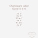 Editable Champagne Label Template | Custom Mini Wine Bottle Label ...