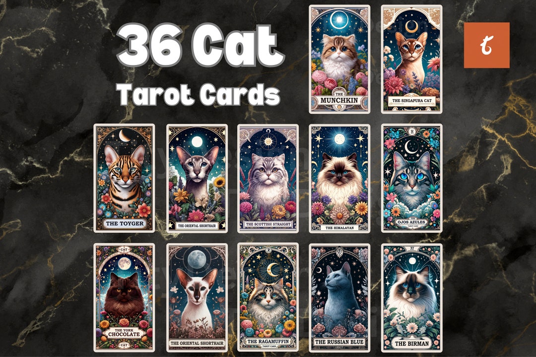 Cat Tarot Card - 36 Animal Tarot Cards - Cat Lover - Kitty Clipart ...