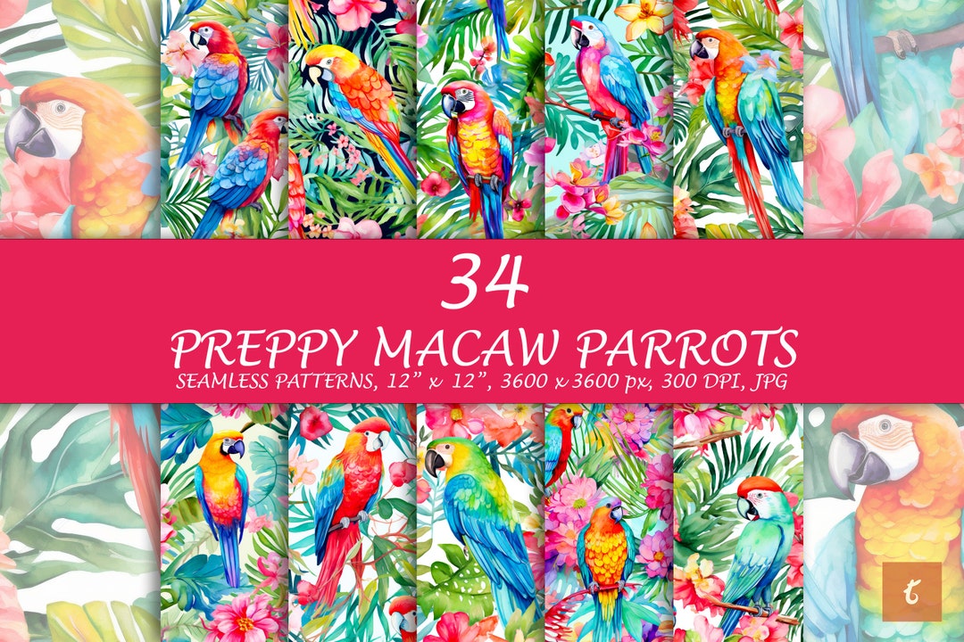 Preppy Macaw Parrot Pattern - 34 Tropical Parrots Digital Paper ...