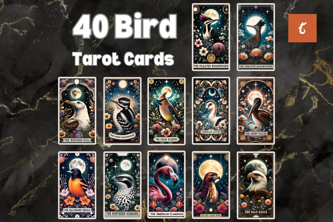 Bird Tarot Card - 40 Funny Tarot Cards - American Bird Lover - Tarot ...