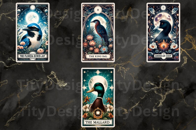 Bird Tarot Card - 40 Funny Tarot Cards - American Bird Lover - Tarot ...