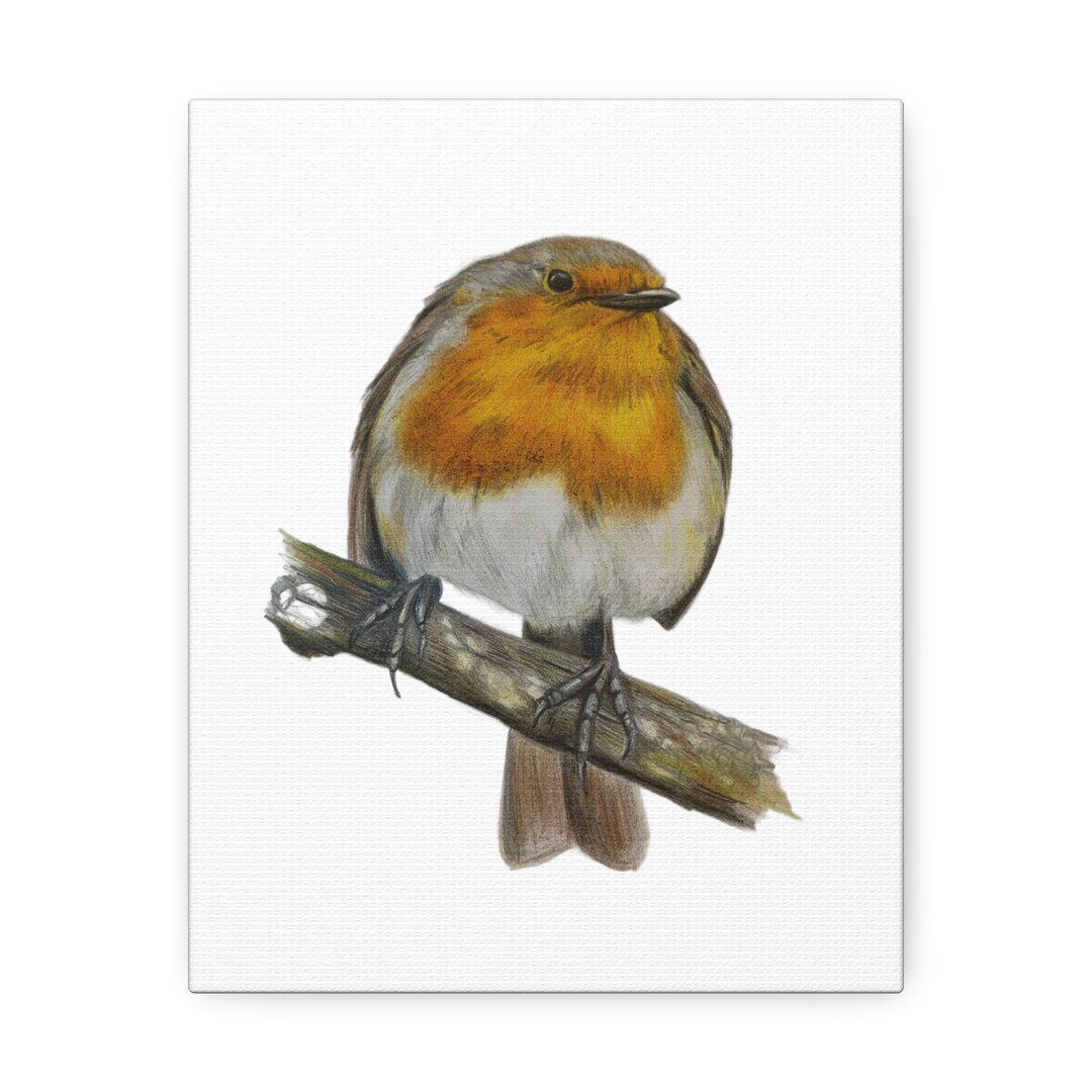 RED ROBIN PRINT of an Original Coloured Pencil Drawn Plump Wintery Red ...