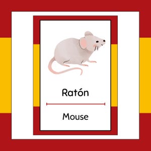 Learn Spanish Animal Flashcards: Spanish With English Translation ...