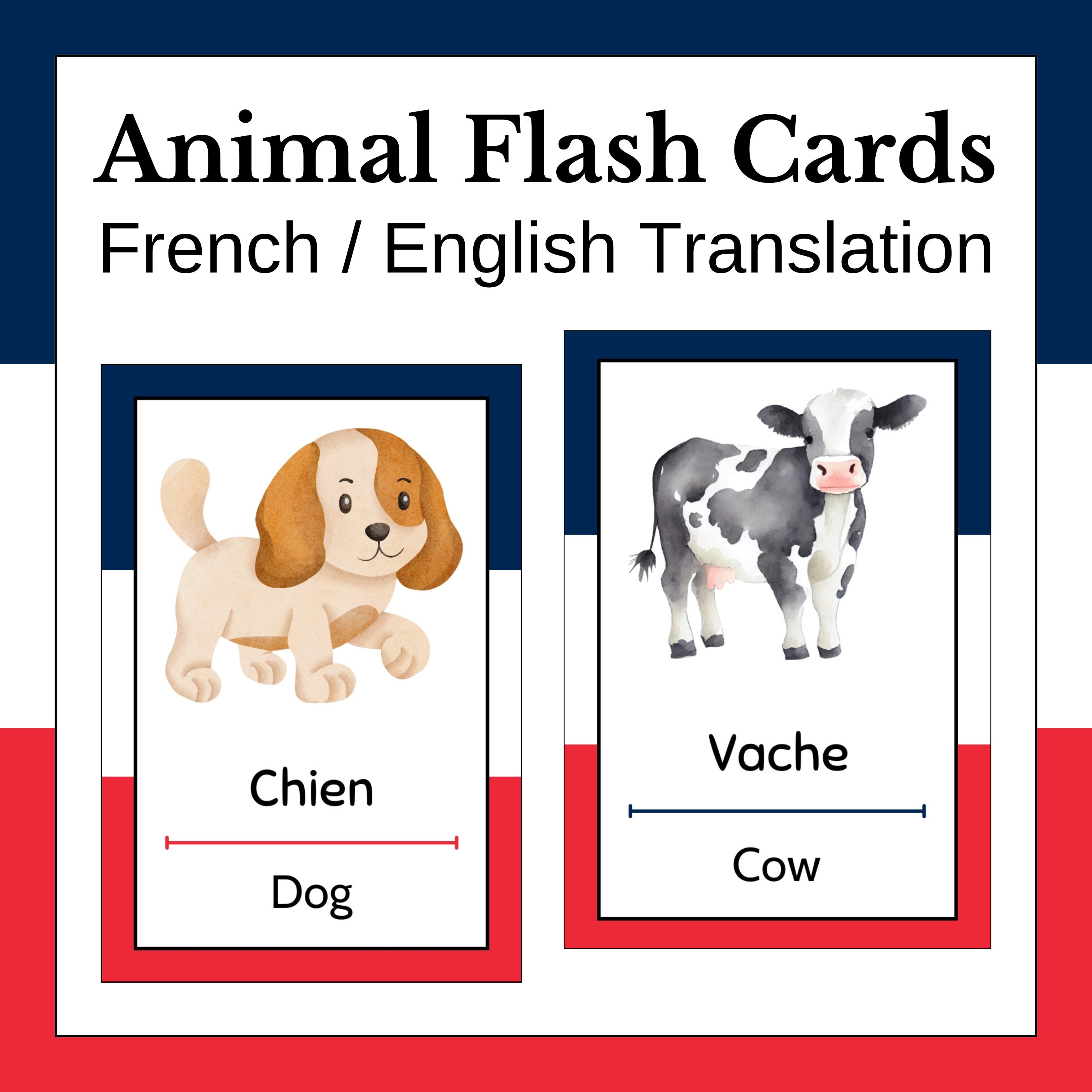 Learn French Animal Flashcards: French With English Translation ...