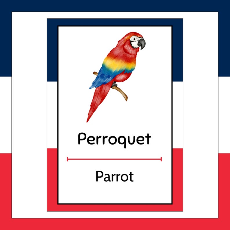 Learn French Animal Flashcards: French With English Translation ...