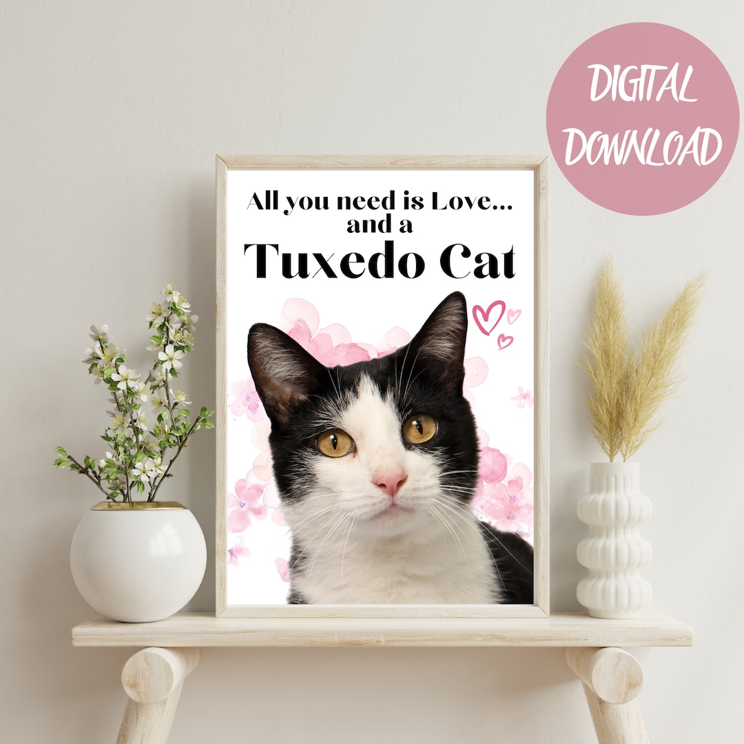 Tuxedo Cat Printable Wall Art: "all You Need is Love and a Tuxedo Cat ...