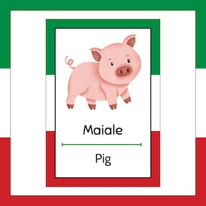 Learn Italian Bilingual Flashcards: Playing Card Size Animal Cards With ...