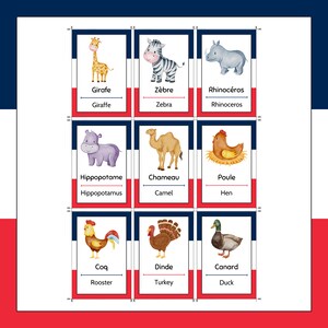 Learn French Animal Flashcards: French With English Translation ...