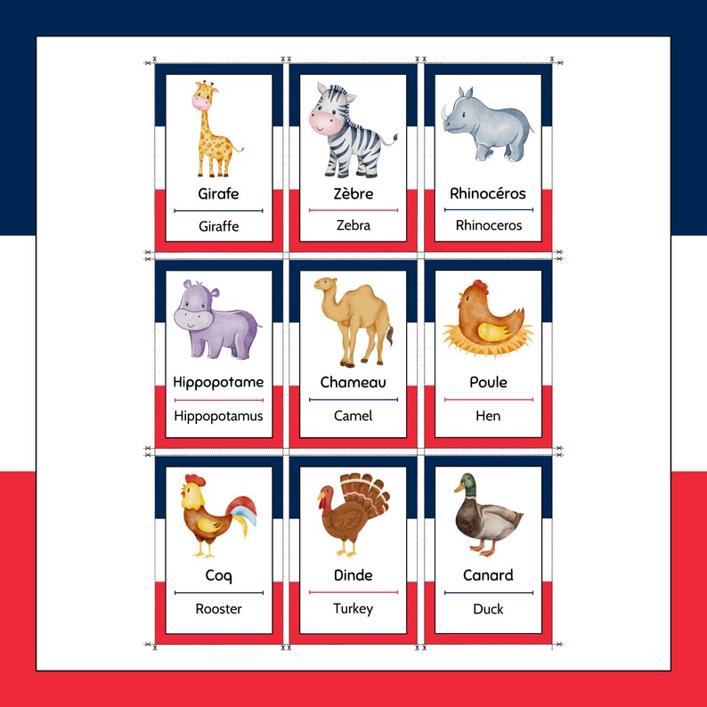 French Animal Flashcards: Bilingual Learning Tool (digital Download) - Etsy