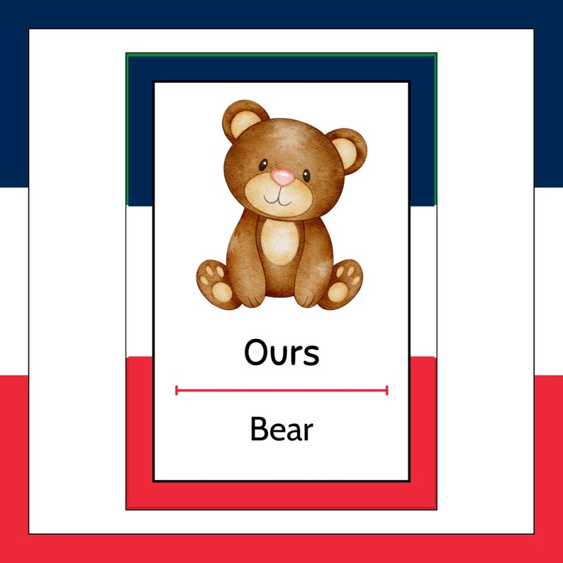 Learn French Animal Flashcards: French With English Translation ...