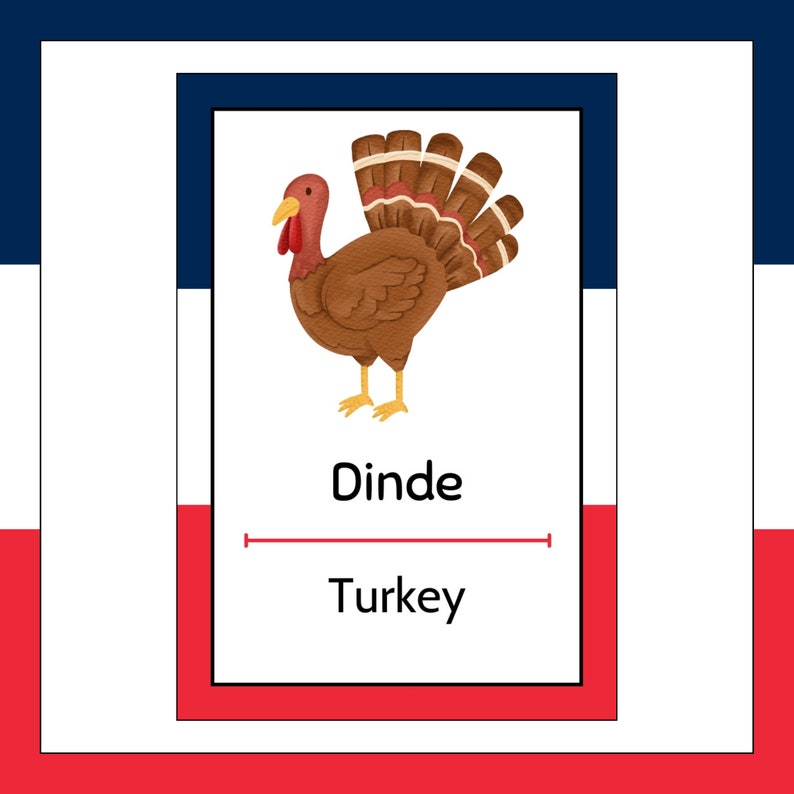 Learn French Animal Flashcards: French With English Translation ...