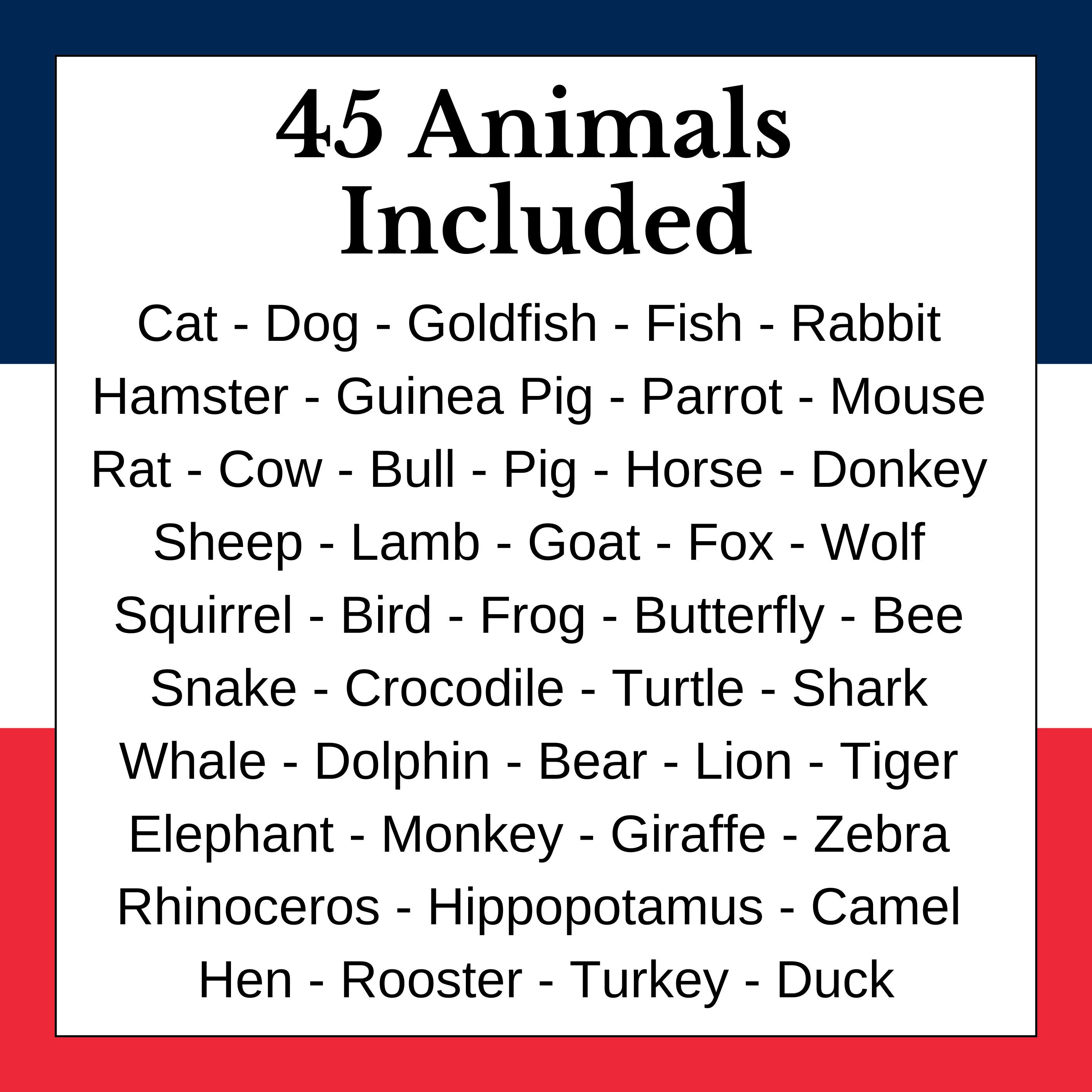 Learn French Animal Flashcards: French With English Translation ...