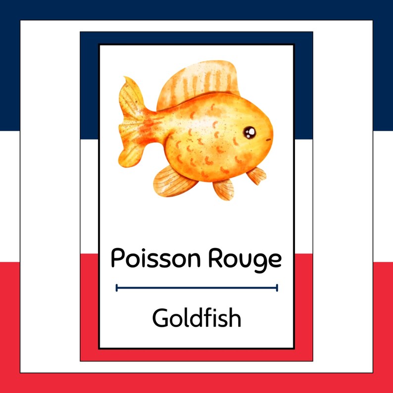 Learn French Animal Flashcards: French With English Translation ...
