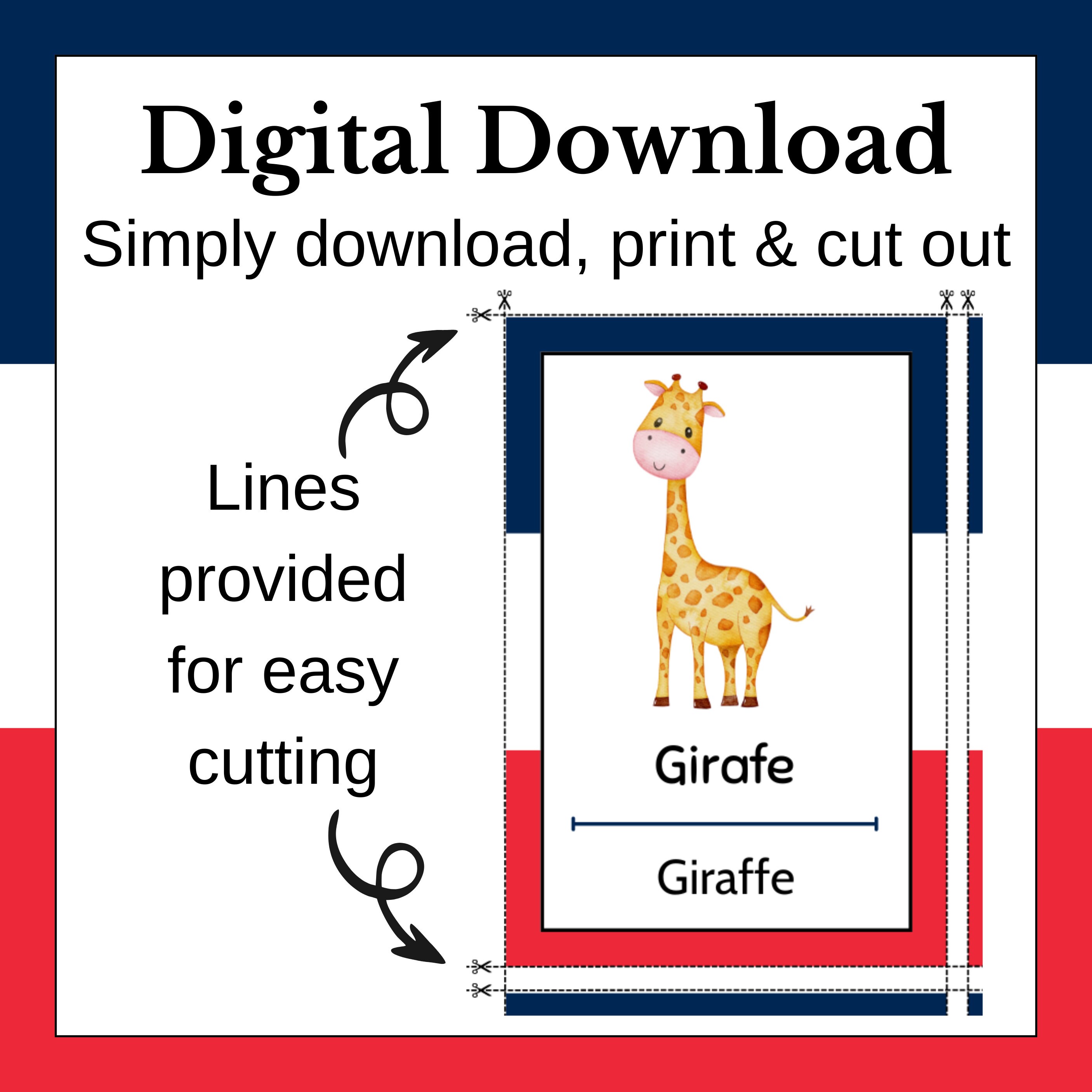Learn French Animal Flashcards: French With English Translation ...