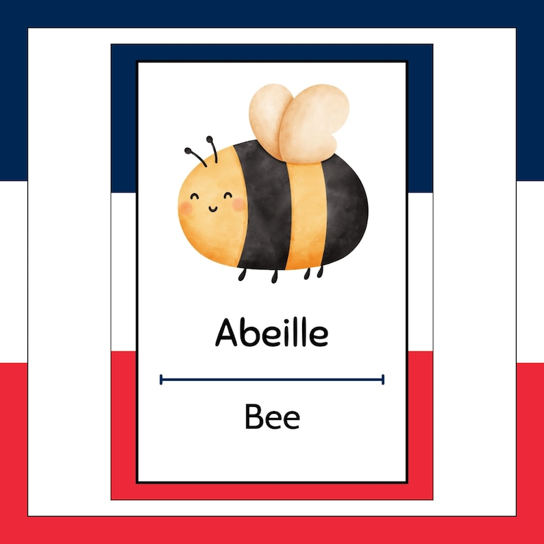 Learn French Animal Flashcards: French With English Translation ...