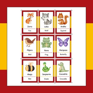 Learn Spanish Animal Flashcards: Spanish With English Translation ...
