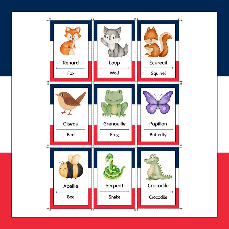French Animal Flashcards: Bilingual Learning Tool (digital Download) - Etsy